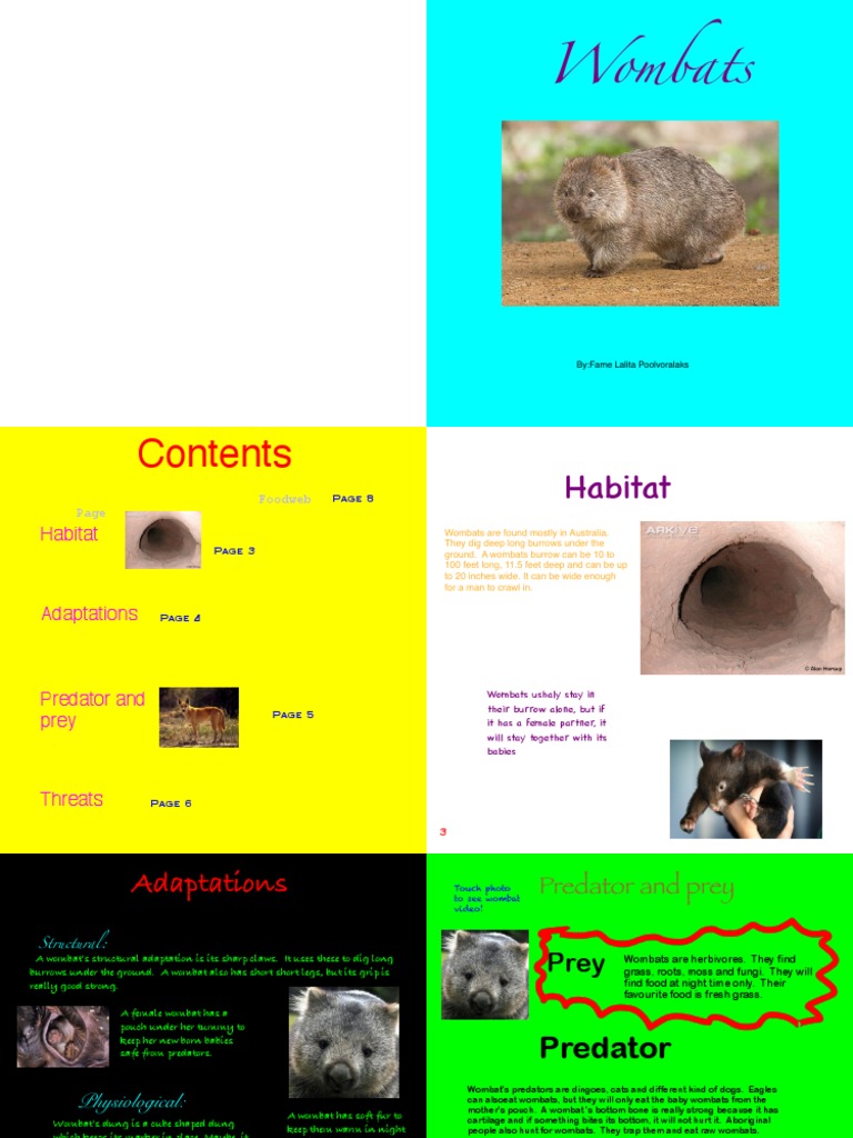 Fame's Wombat Adaptation | PDF | Predation | Conservation