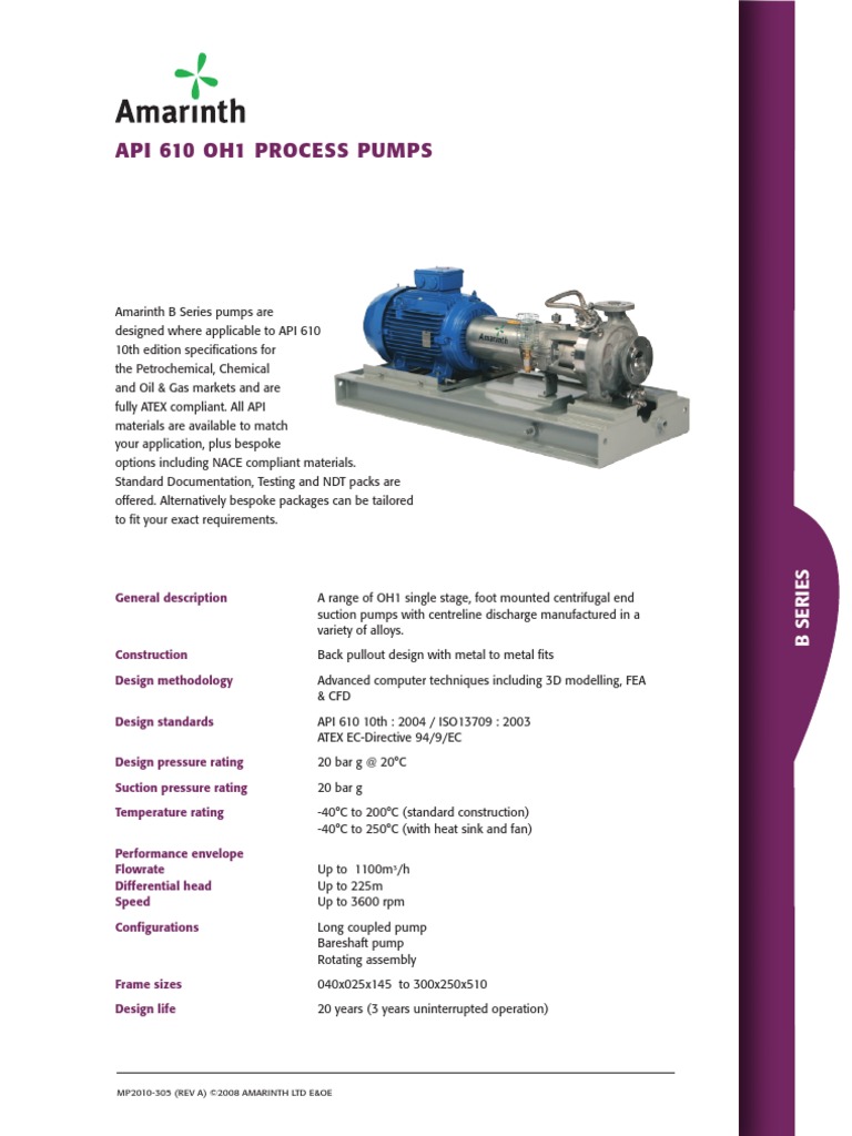 B Series API 610 OH1 Oil and Gas Process Pump Brochure RevA | PDF ...
