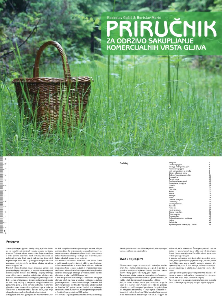 Prirucnik | PDF