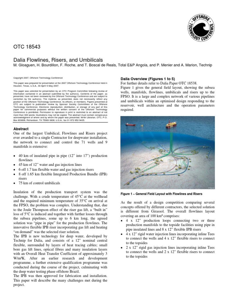 Riser Flowlines Fpso Part | PDF | Subsea (Technology) | Thermal Insulation