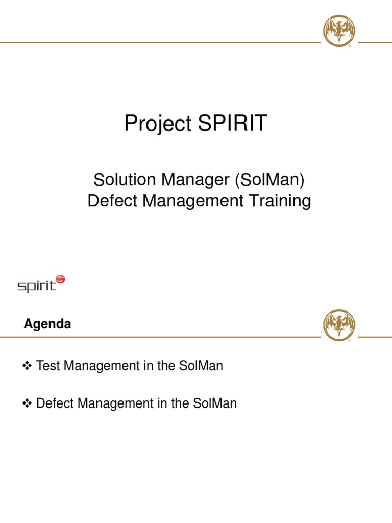 SolMan Defect Management Training Guide | PDF | Software Testing ...