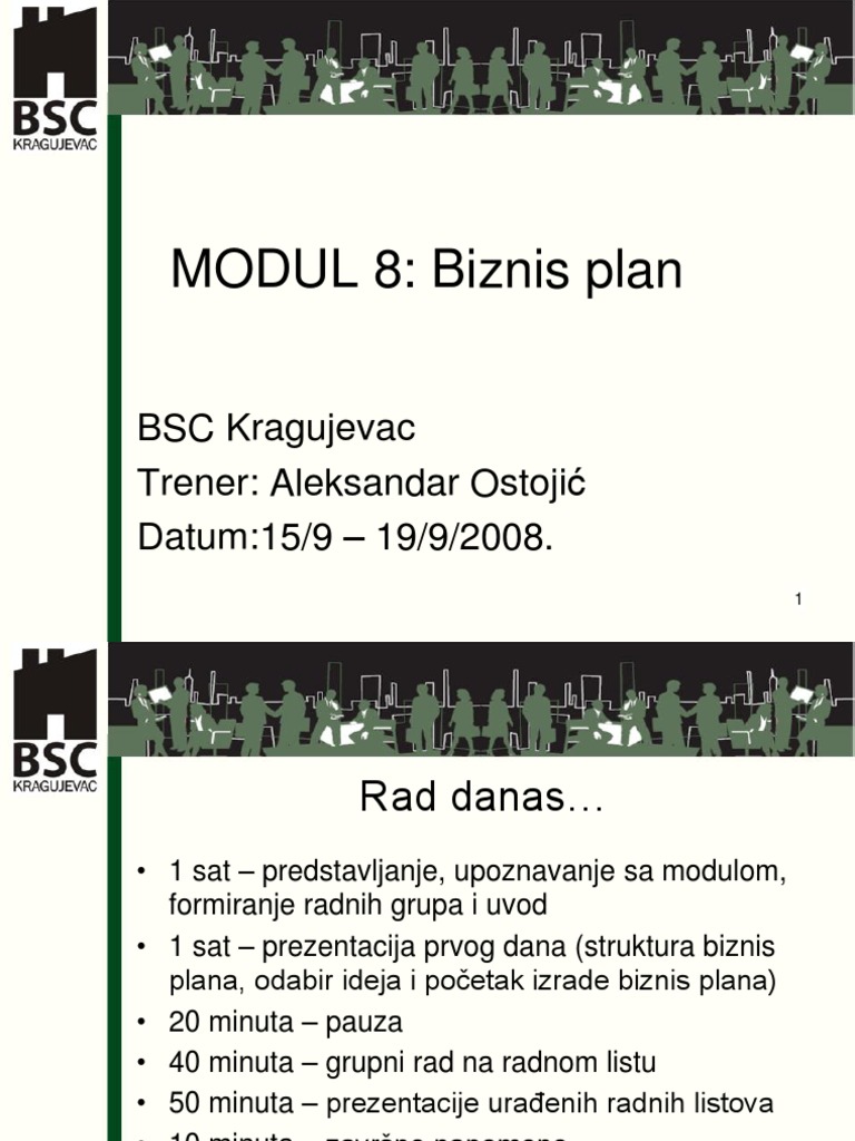 Biznis Plan | PDF