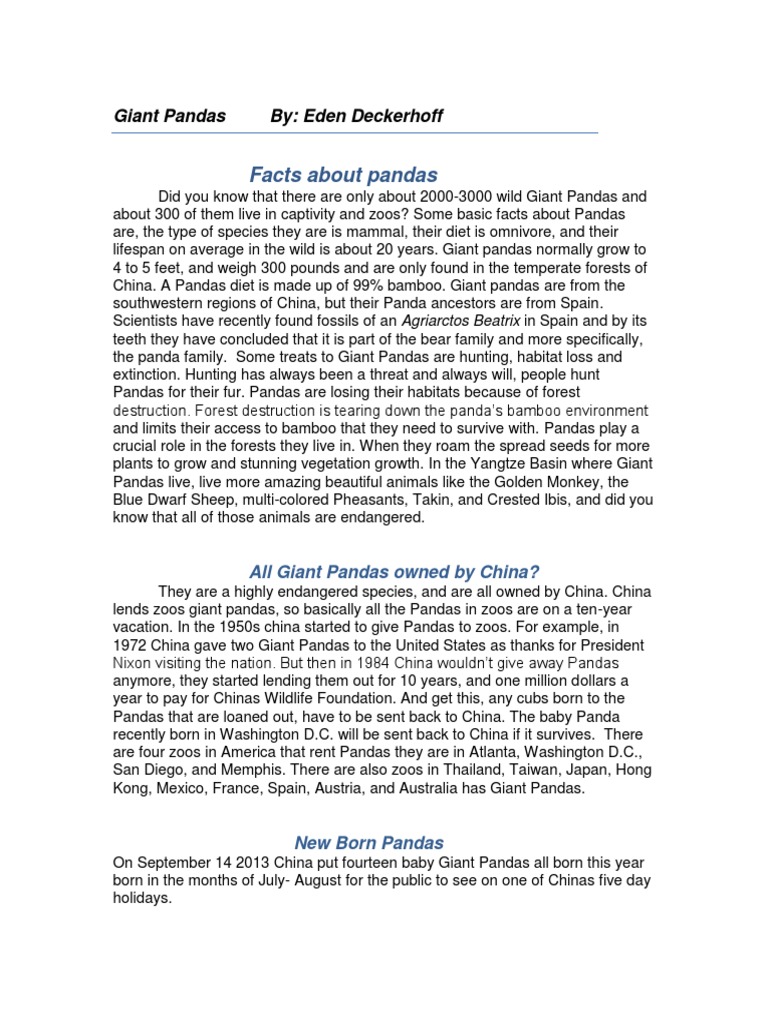 Eden Deckerhoff History Fair | PDF | Giant Panda | Conservation