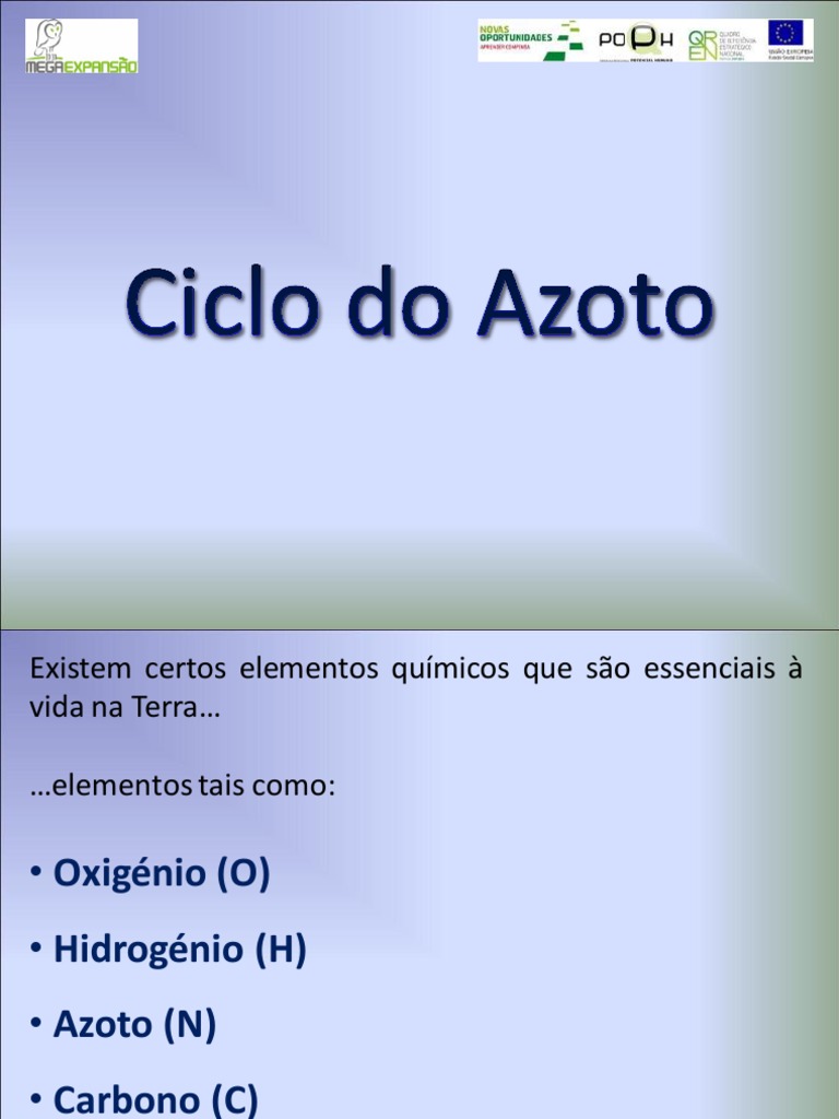 Ciclo Do Azoto | PDF | Ciências e Matemática