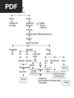 Pathway Demam Thypoid | PDF | Sains & Matematika