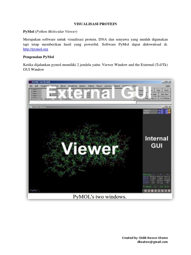 Guideline Pymol New | PDF