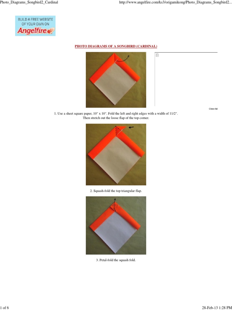 Step-by-Step Origami Cardinal Guide | PDF | Birds | Environment