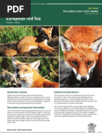 Reading - The Dingo Debate | PDF | Predation | Organisms