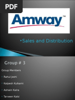 Amway 2023 Compensation Plan Overview | PDF