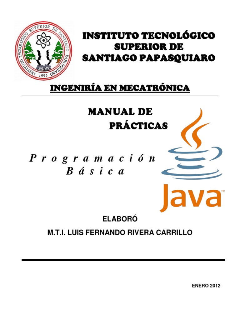 Manual de Practicas Programacion Basica | PDF | División (Matemáticas) | Algoritmos