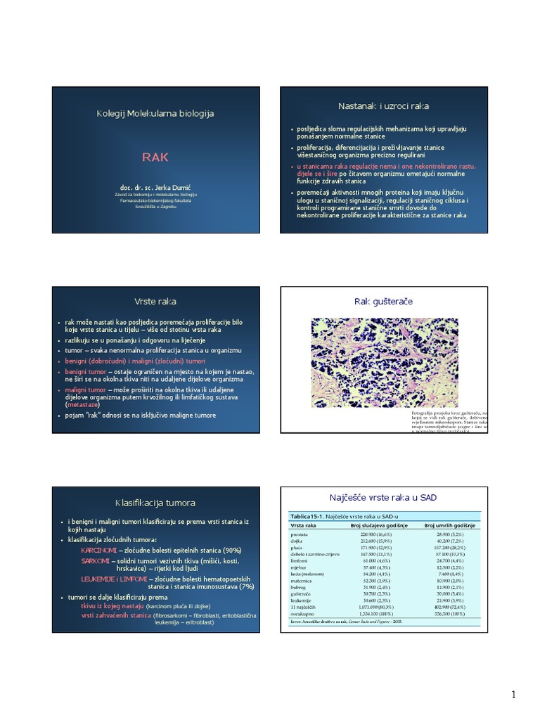 Rak | PDF
