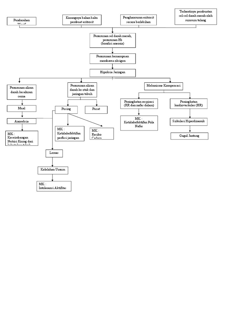 Pathway Anemia | PDF