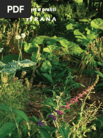 Joachim Mayer-Cvijece Za Balkone I Terase | PDF