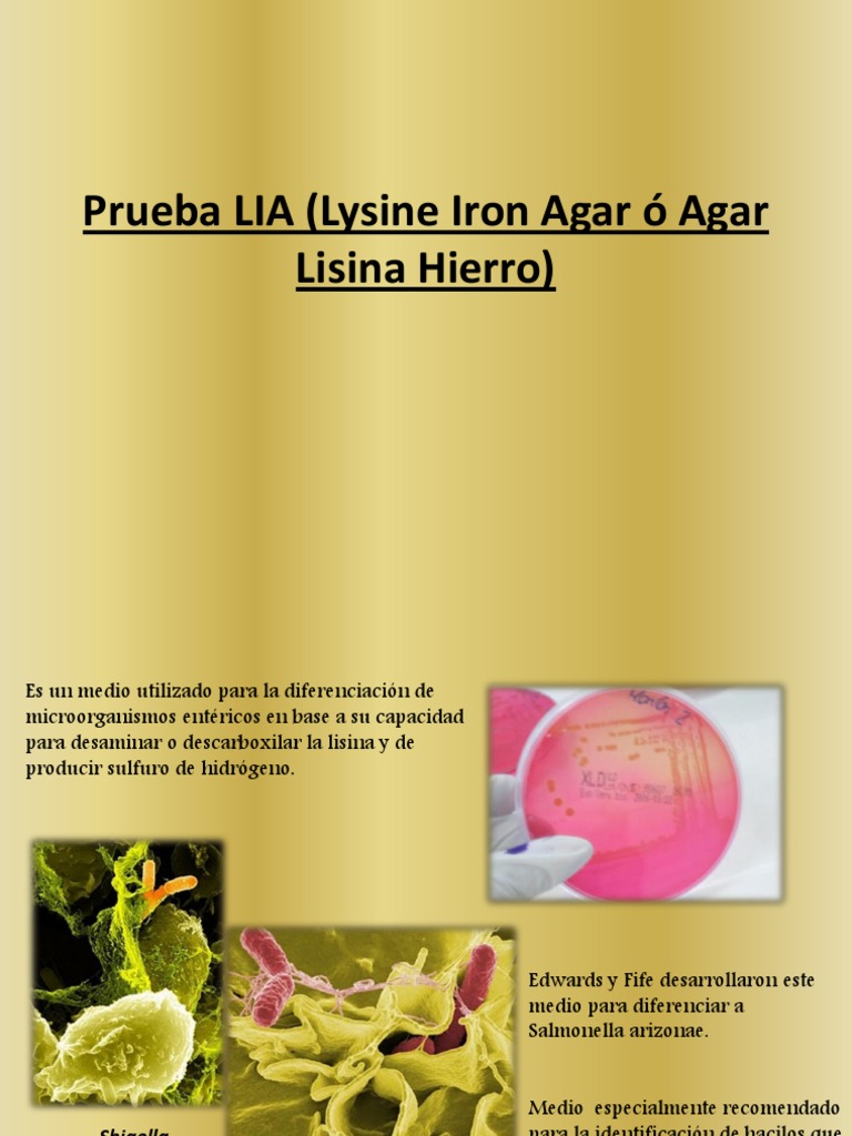 Prueba LIA (Lysine Iron Agar Ó Agar | PDF | Sustancias químicas ...