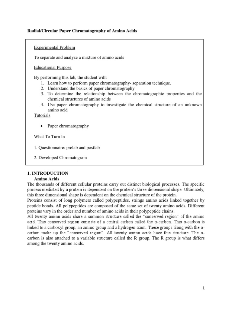 Paper Chromatography Of Amino Acids