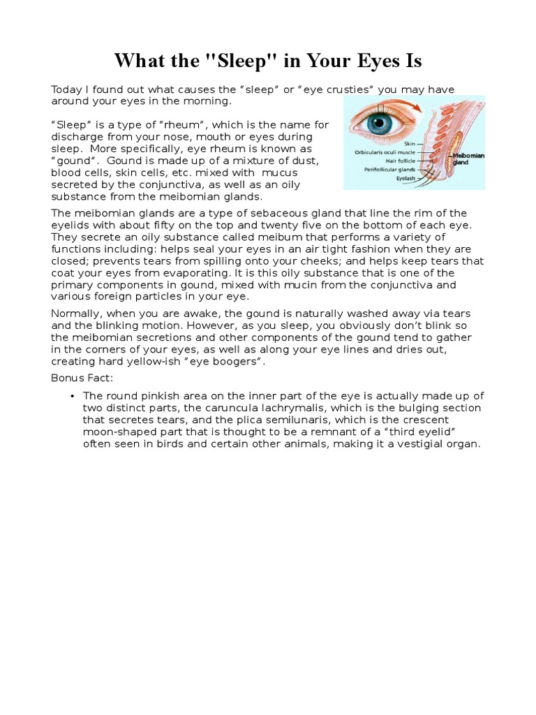 Understanding Eye Sleep Crusties | PDF