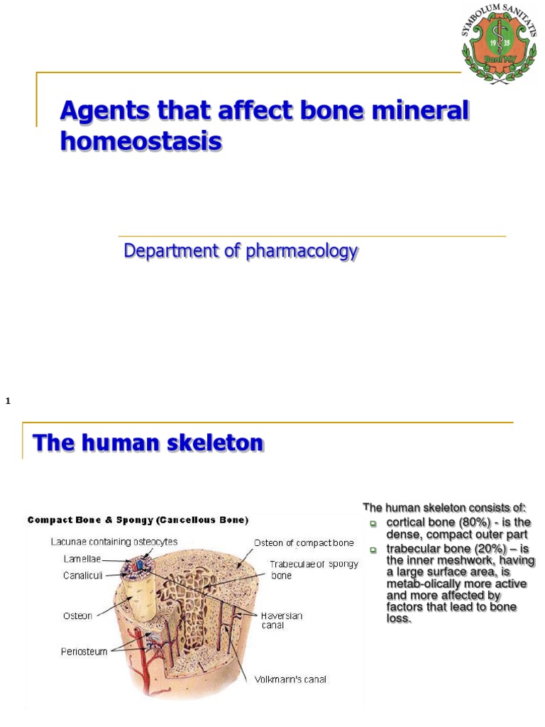 Agents that Affect Bone Mineral Homeostasis: An Overview of the Key ...