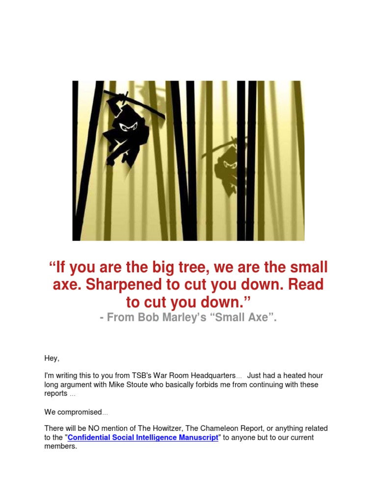 Social Ninja Report | Download Free PDF | Feeling | Emotions