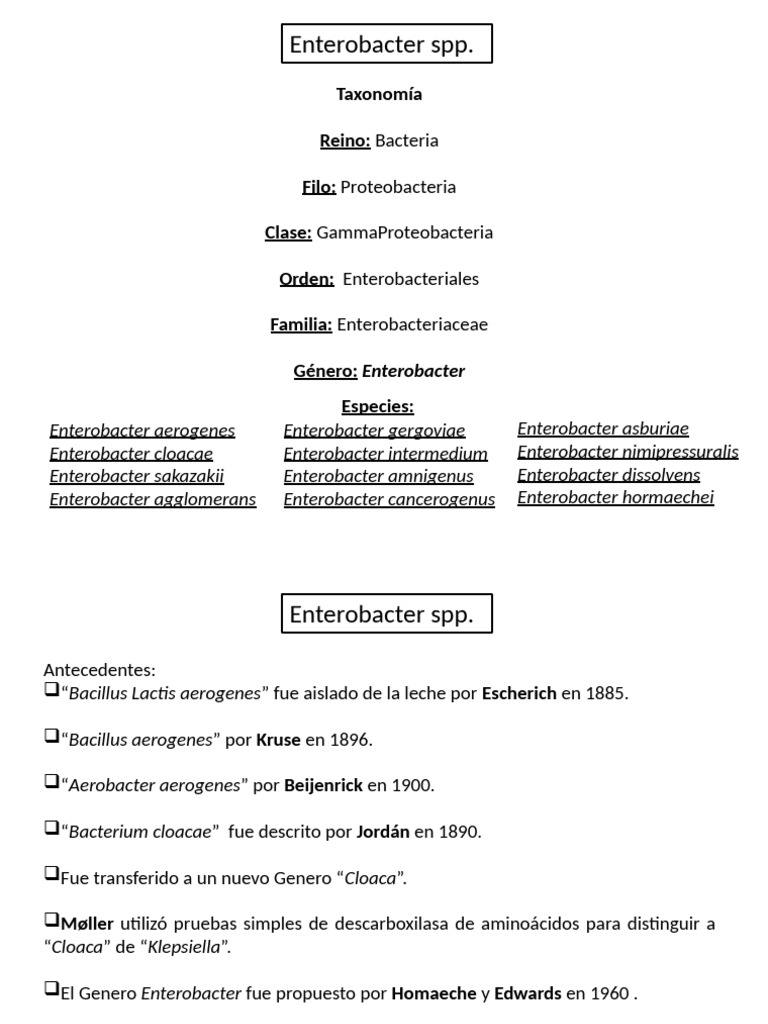 Genero Enterobacter MicroI | PDF | Microbiología | Procariota
