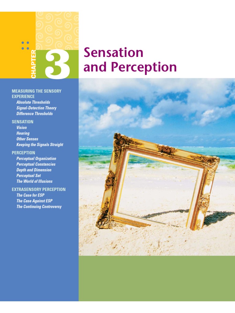 Sensation and Perception | PDF | Visual System | Electromagnetic Spectrum