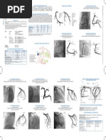 Cath Lab Orientation and Procedures Guide | PDF | Percutaneous Coronary ...