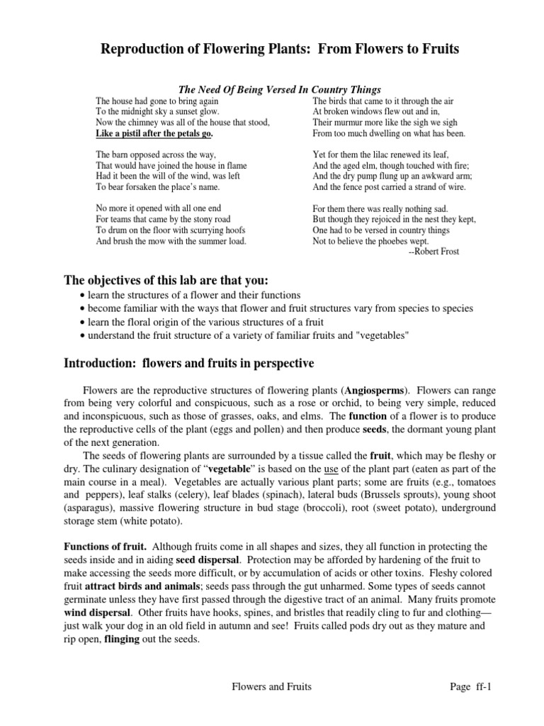 Flowers and Fruits | PDF | Fruit | Seed