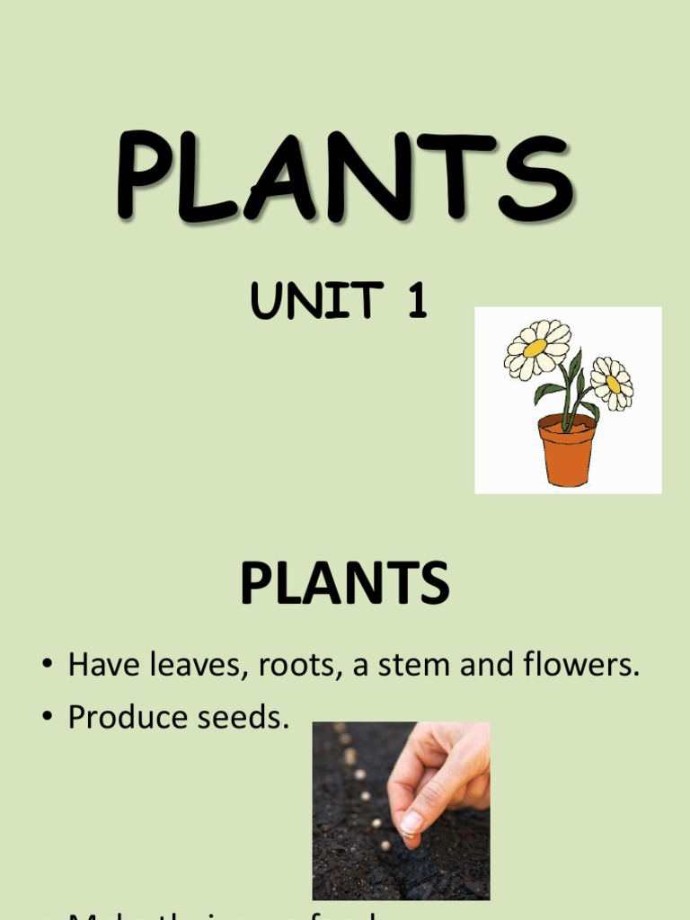 Unit 1. Plants | PDF | Trees | Plants