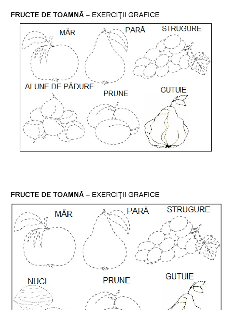Fructe de Toamna Exercitii Grafice
