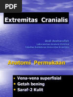 Anatomi dan Fisiologi Aksila | PDF