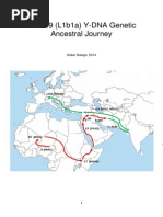 Characteristics and Origins of Haplogroup I2 | PDF | Slavs | Celts