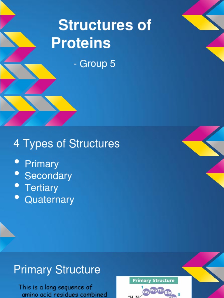 Structures of Proteins | PDF | Biomolecular Structure | Proteins