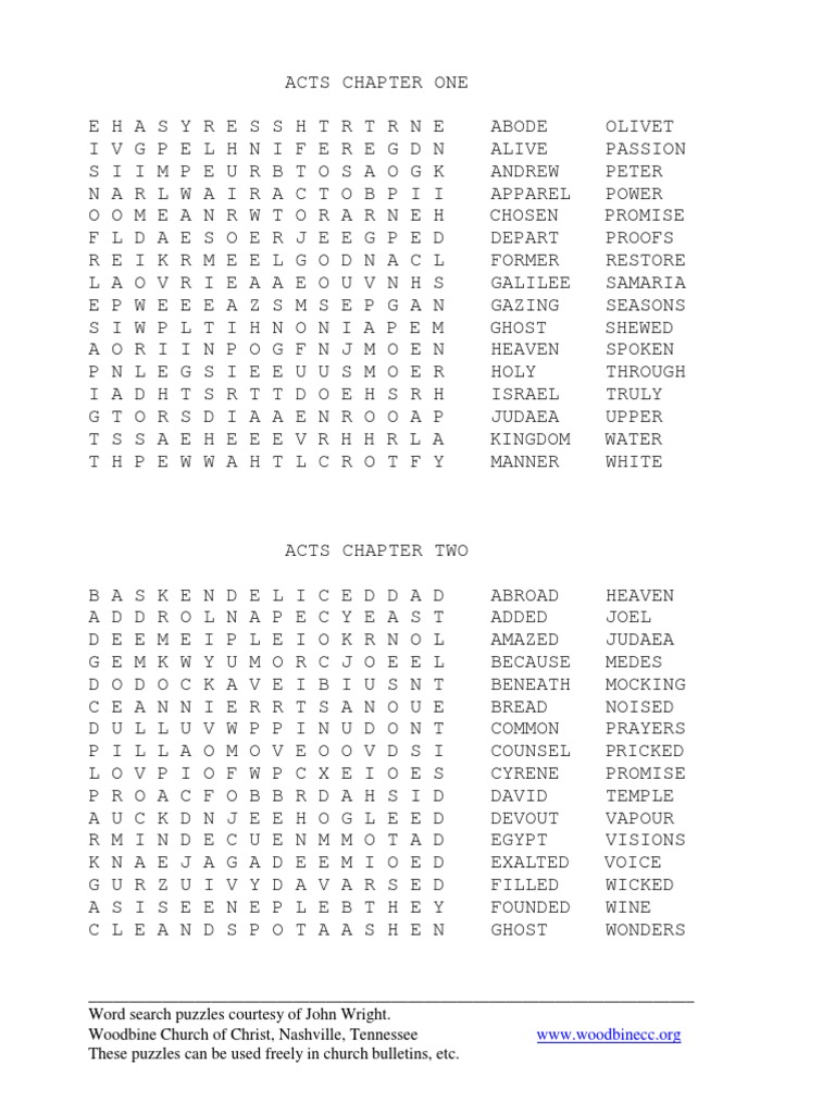 Acts Word Search | PDF | Acts Of The Apostles | New Testament Content