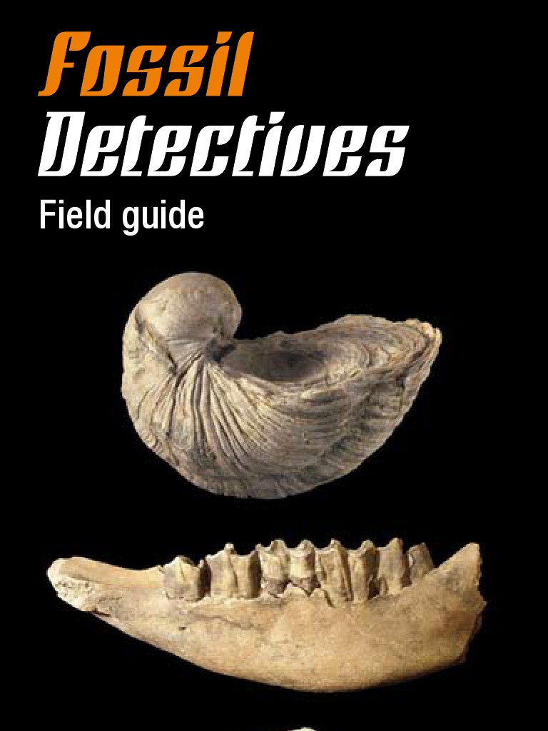 Fossils - Field Guide | PDF | Bivalvia | Fossil