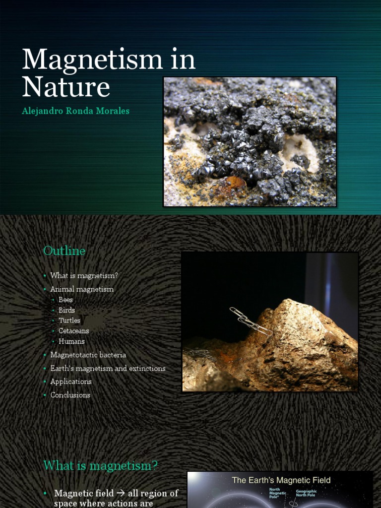 Exploring the Role of Magnetism in Nature Through Animals, Bacteria ...