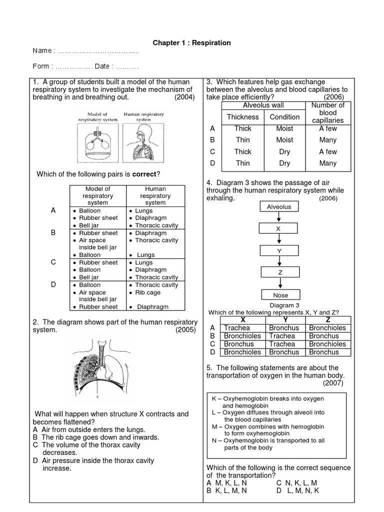 Science Form 3 Chapter 1-3 | PDF | Respiratory System | Blood