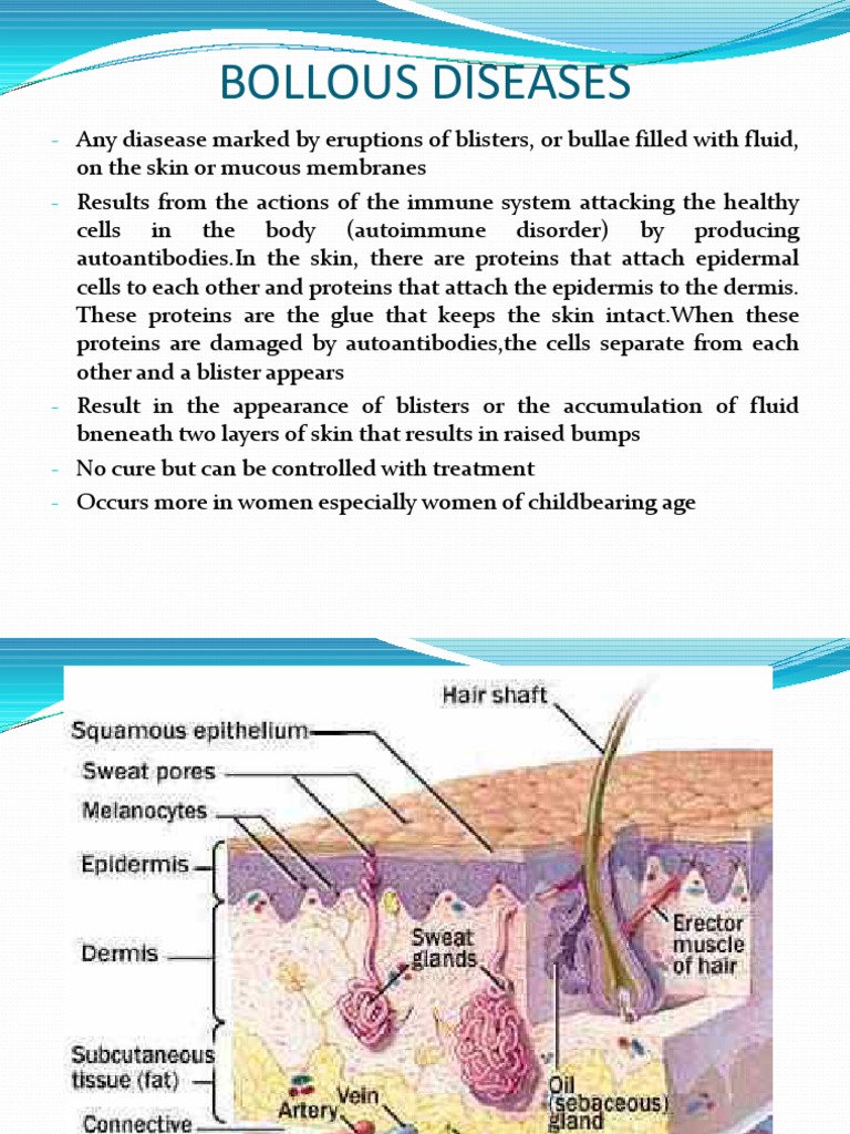 Bollous Diseases | PDF | Diseases And Disorders | Medical Specialties