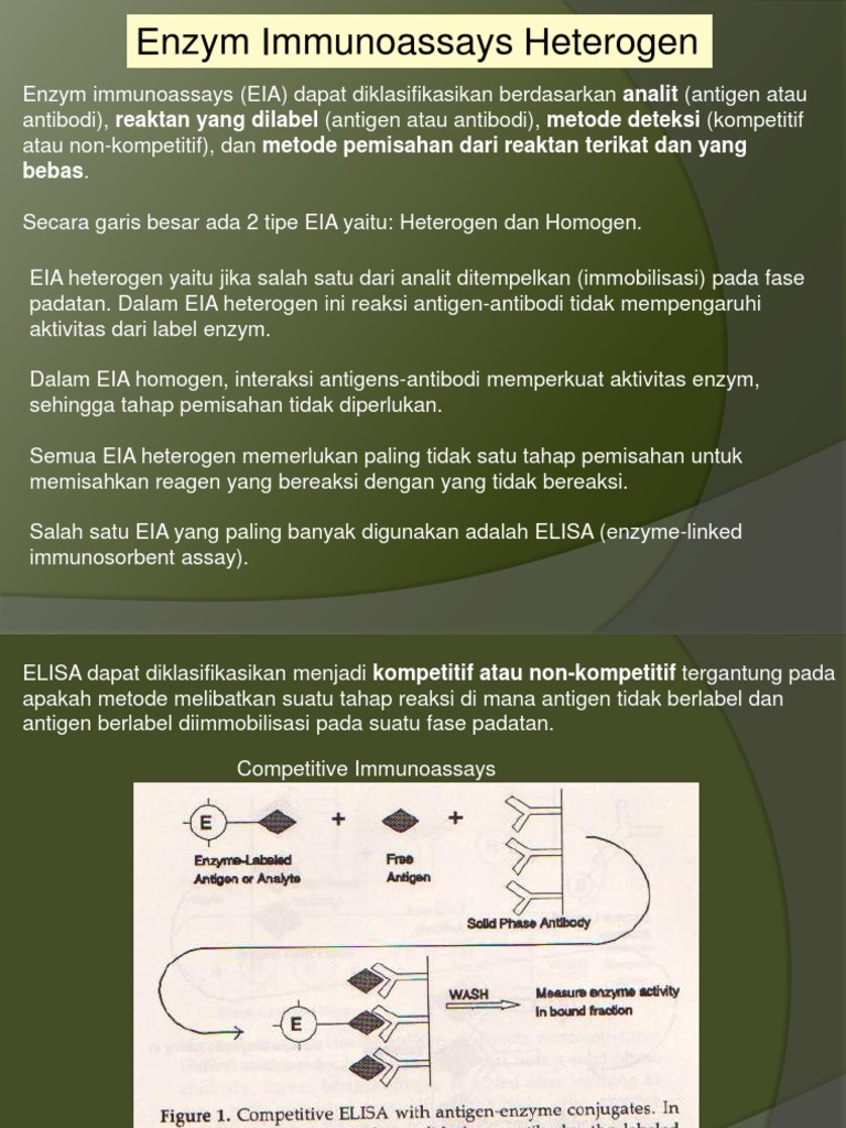 Heterogeneous Enzyme Immunoassays | PDF