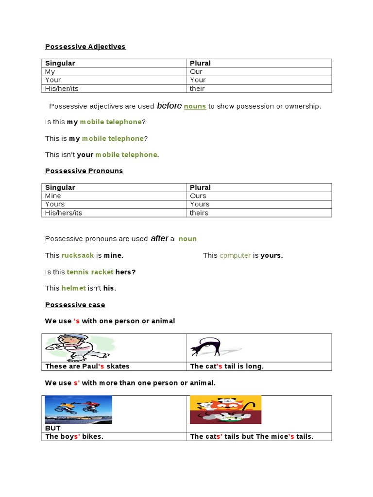 Possessive Adjectives and Pronouns | PDF | Pronoun | Adjective