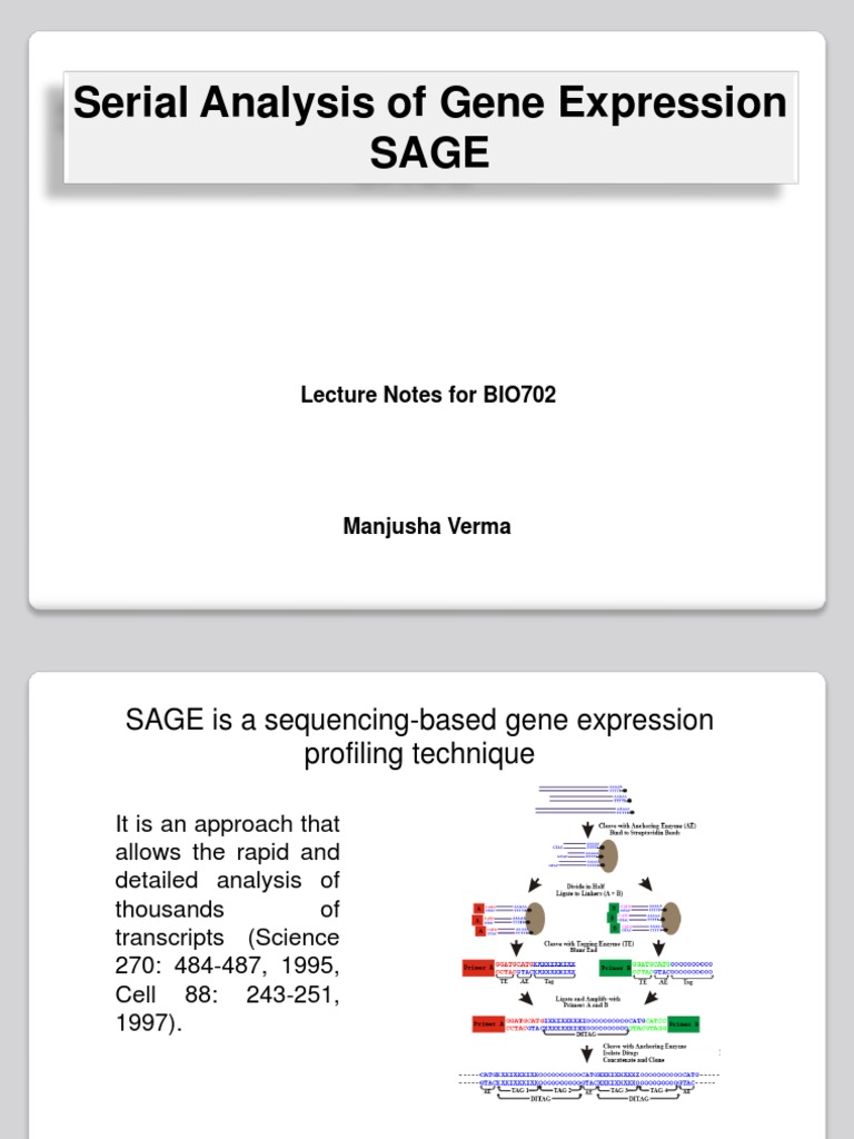SAGE Technique for Gene Expression Profiling | PDF | Gene Expression ...