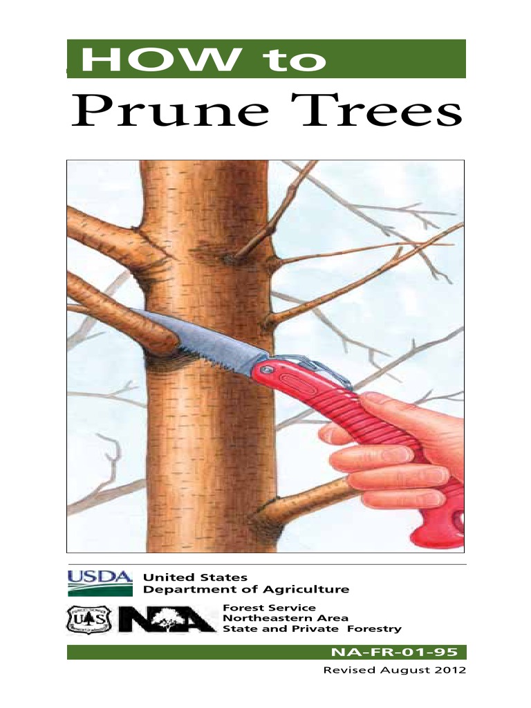 How To Prune Trees | PDF | Pruning | Scissors