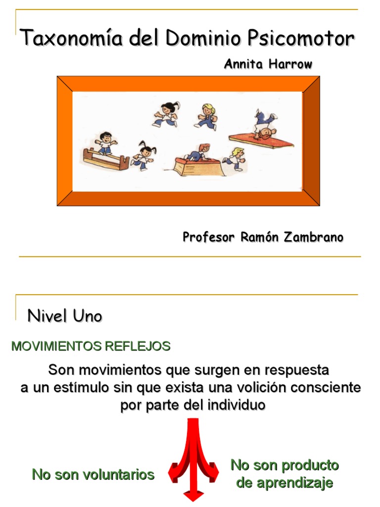 ANITA HARROW Taxonomia Psicomotor | PDF | Anatomía | Sistema ...