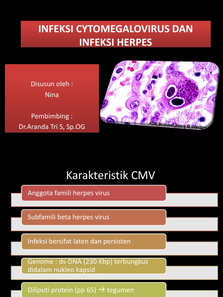 Infeksi Cytomegalovirus dan Dampaknya | PDF