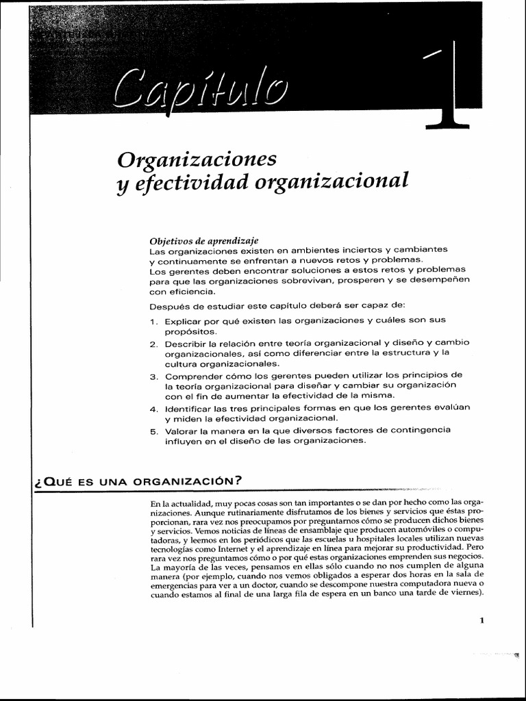 Cap1 Gareth R. Jones | PDF