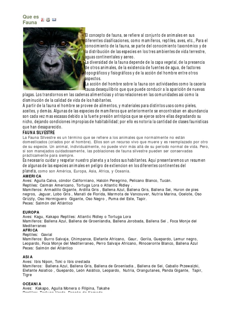 Que Es Fauna | Descargar gratis PDF | Moluscos | Biodiversidad