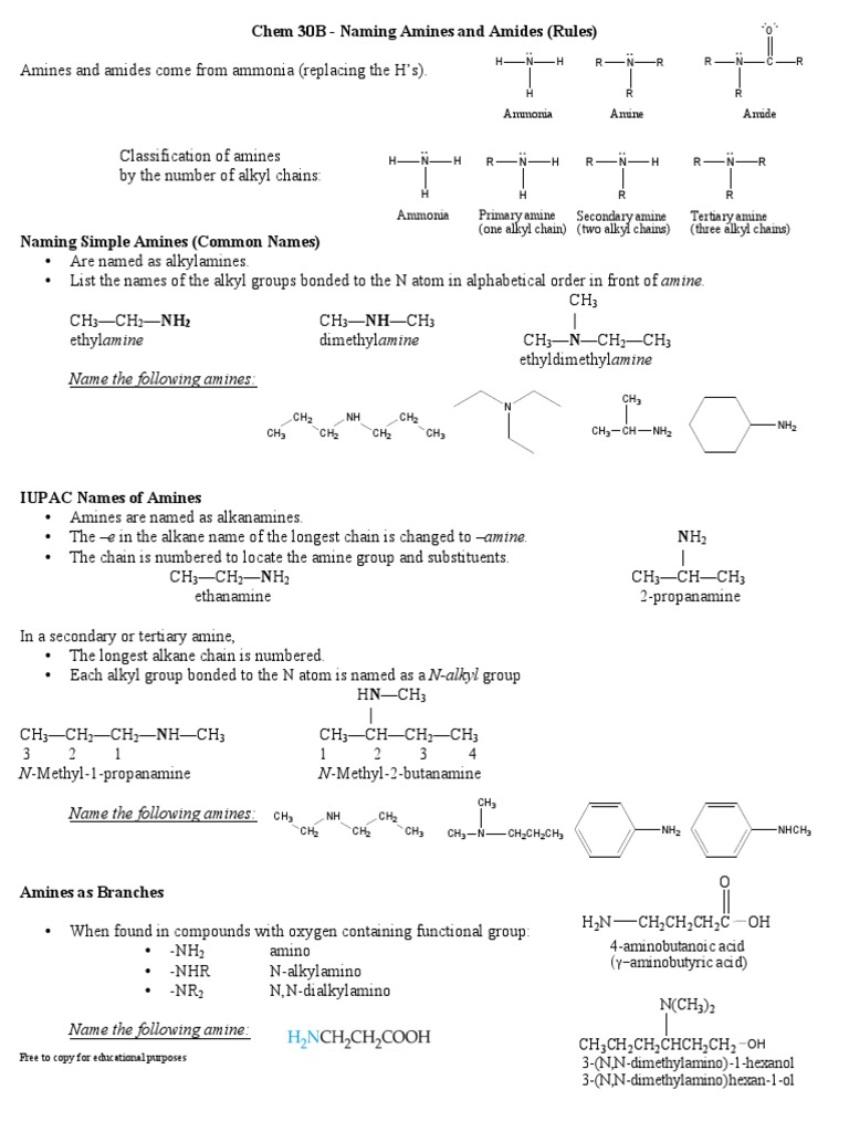 Naming Amines and Amides Rules | PDF | Amine | Amide
