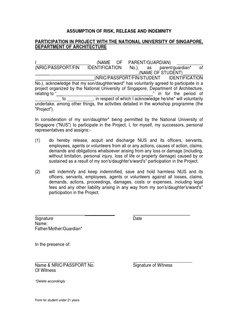 NUS Project Risk Release | PDF