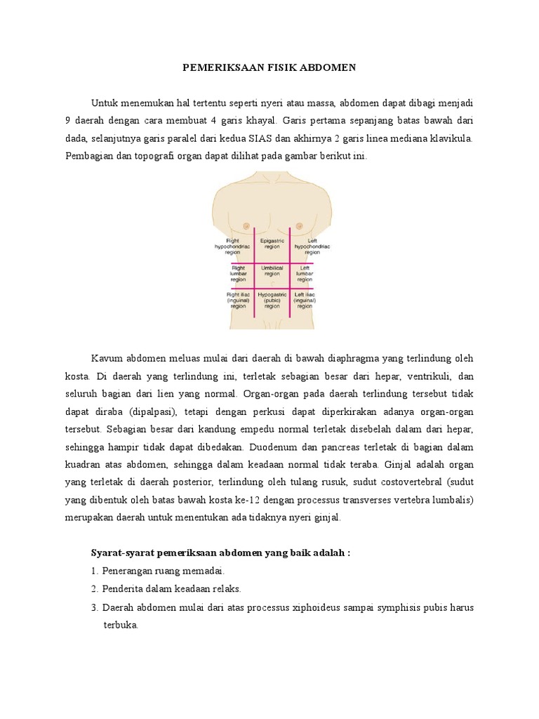 Pemeriksaan Fisik Abdomen | PDF