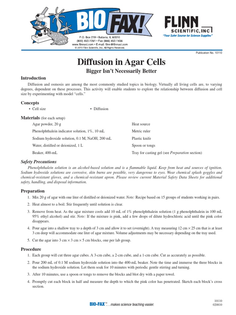 Diffusion In Agar Cells Bigger Isn T Necessarily Better Pdf