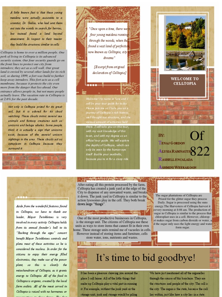 CELLTOPIA | PDF | Chloroplast | Cell (Biology)