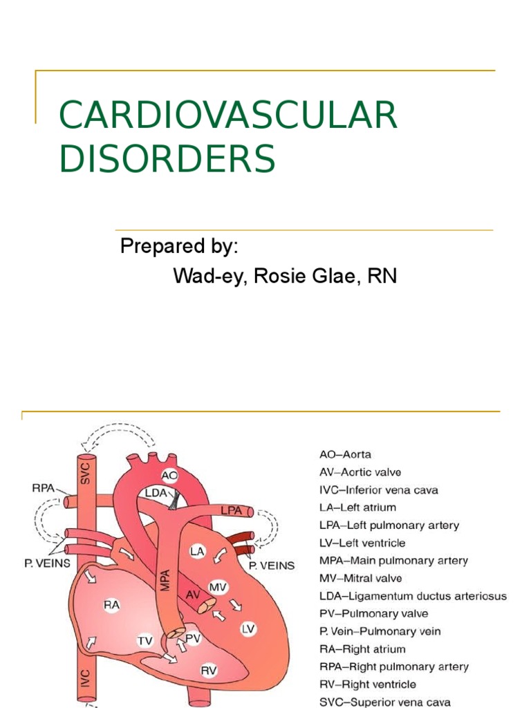 Cardiovascular Disorders Overview | PDF | Circulatory System | Thorax ...